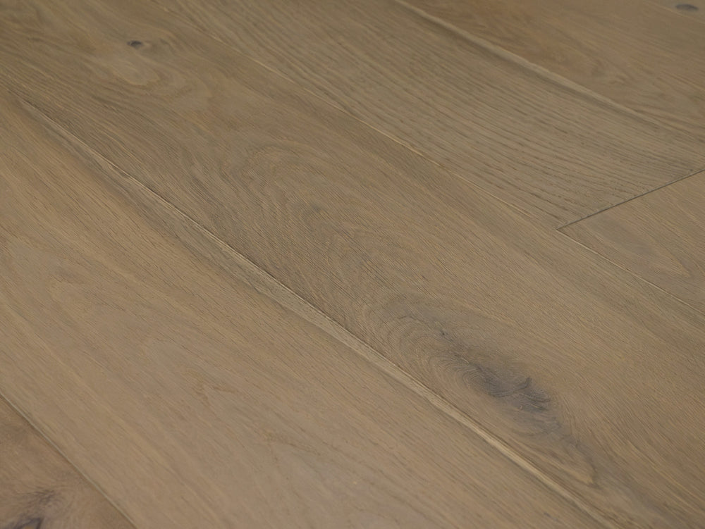 Dover Collection - monarchplank