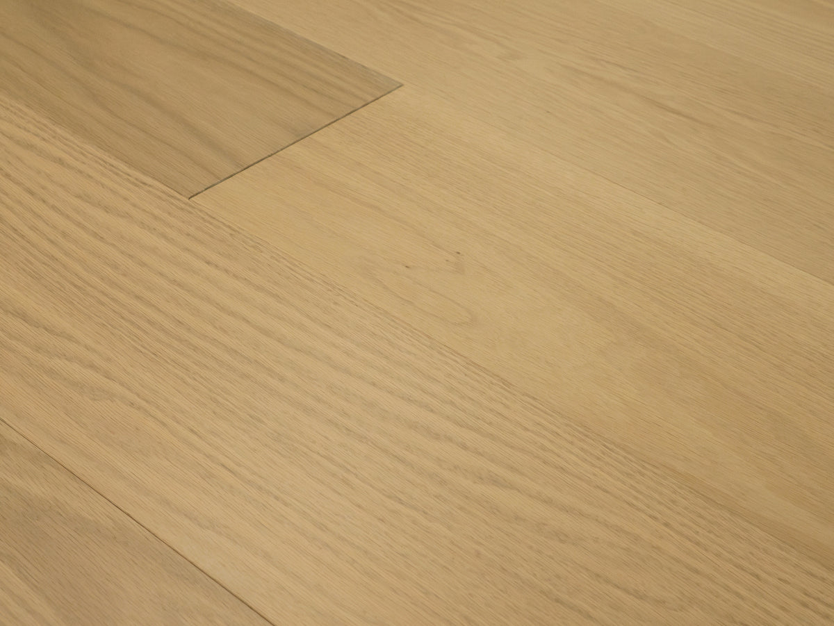 Premio Veranda - monarchplank