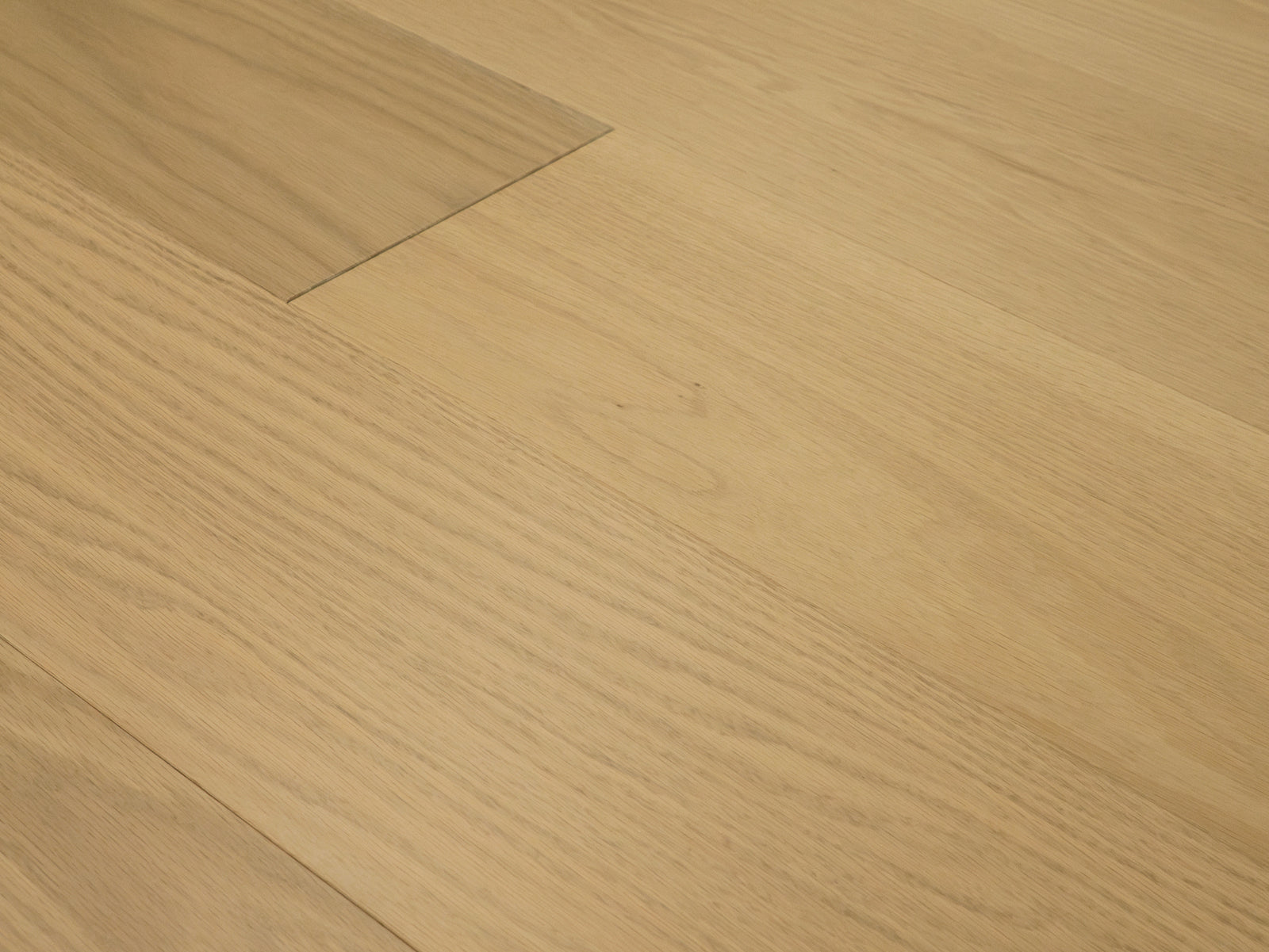 Premio Veranda - monarchplank