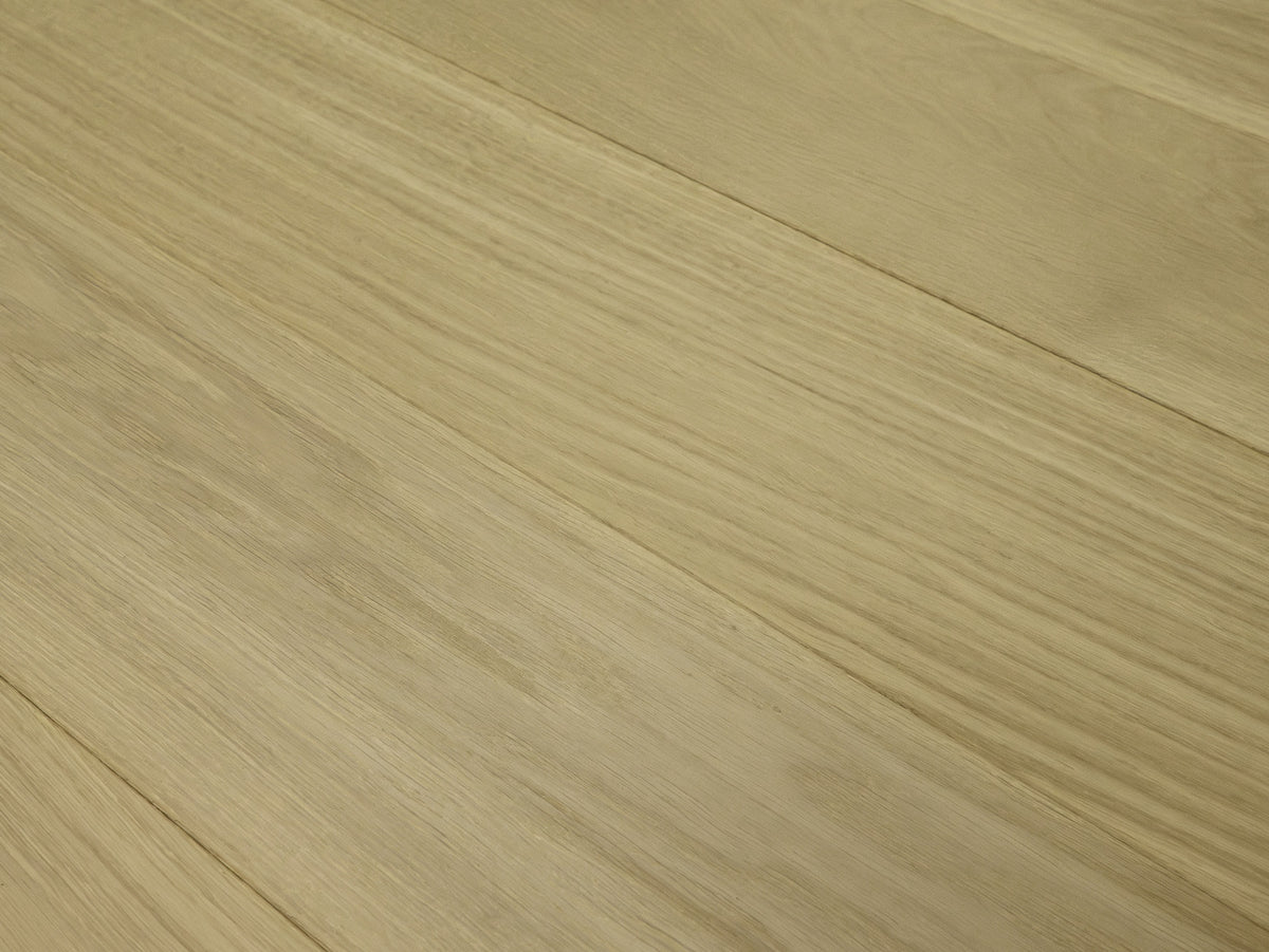 Regent - monarchplank