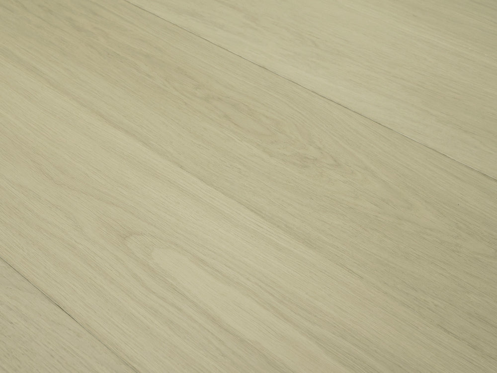 Regent - monarchplank