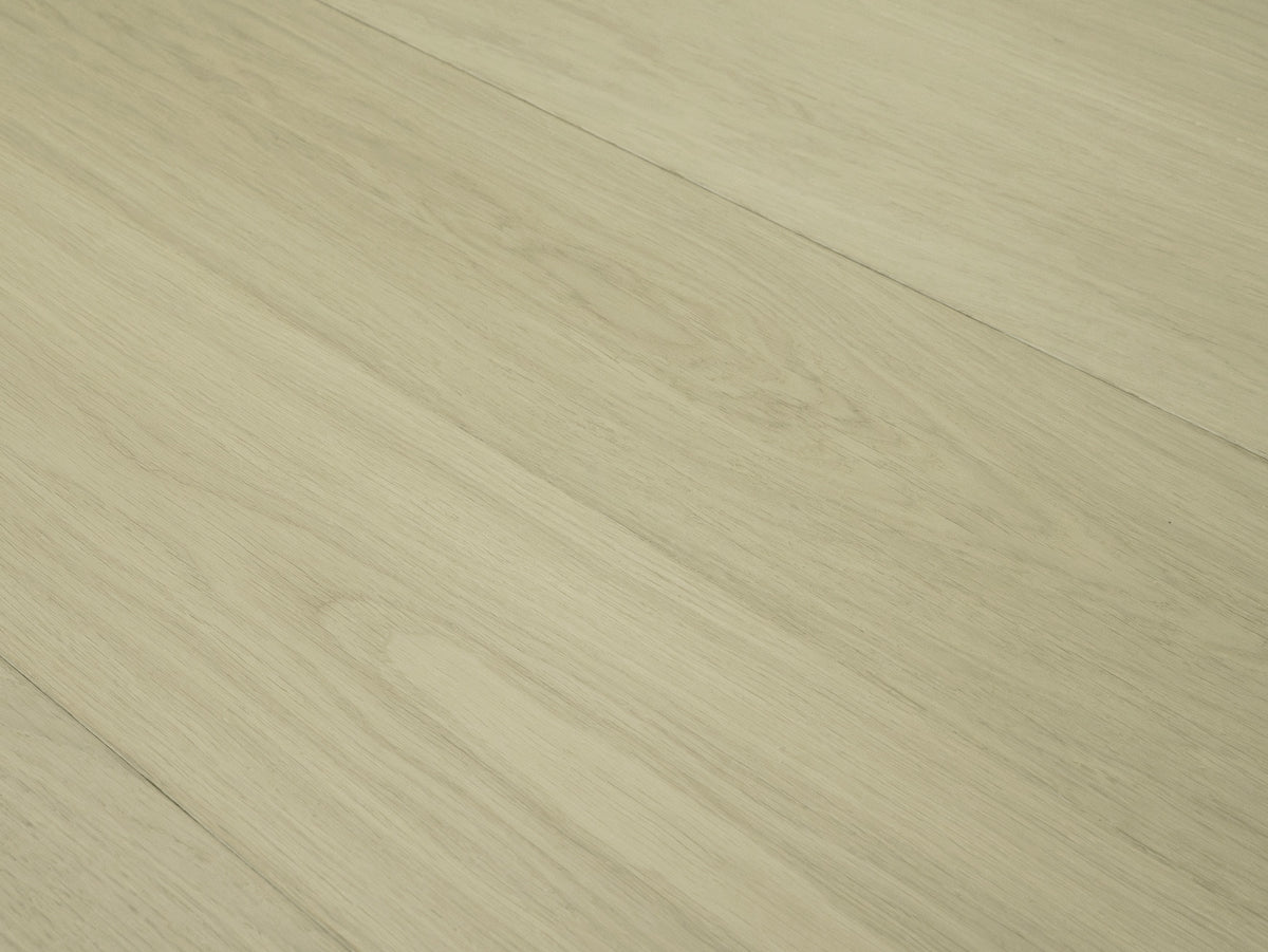 Regent - monarchplank